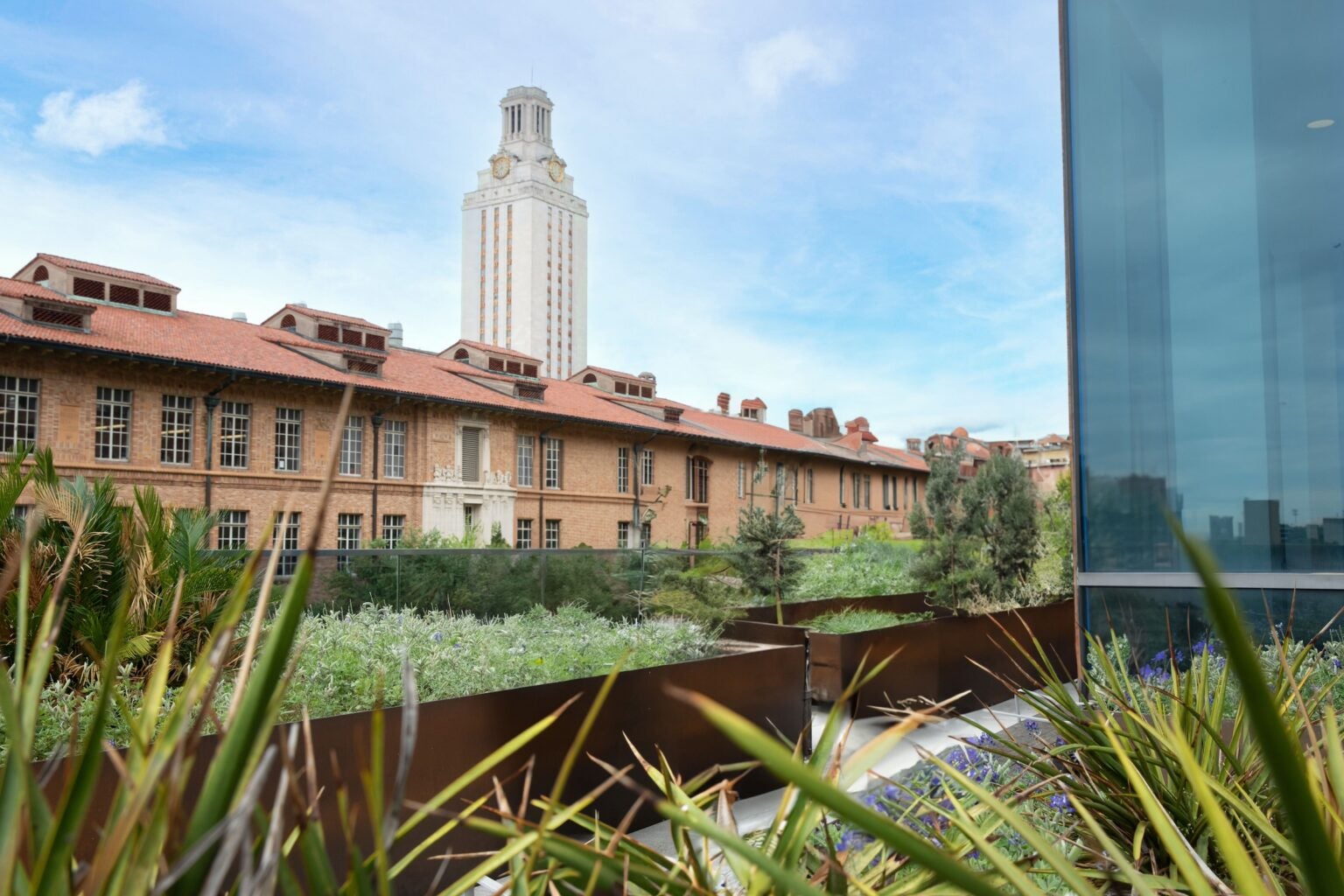 New Faculty Launch - UT Faculty Development